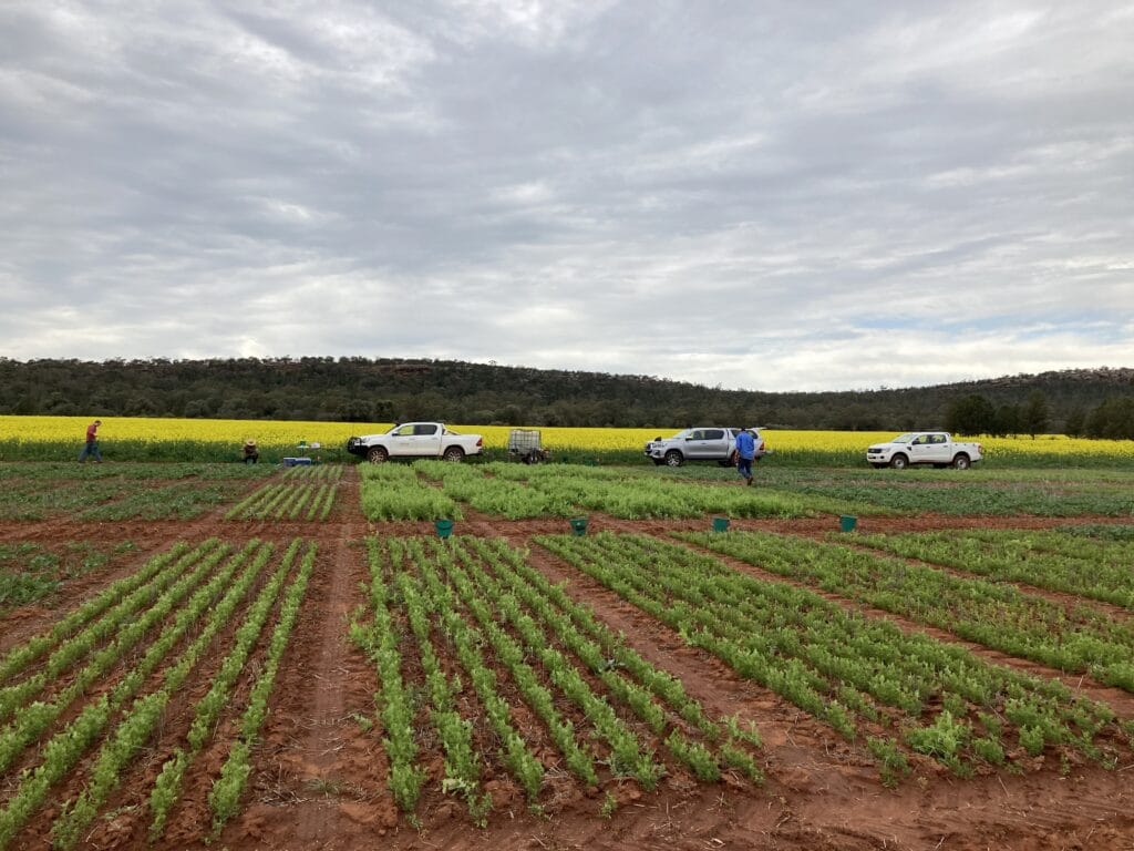 Research Projects | Ag Grow Agronomy & Research