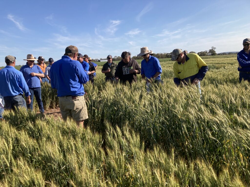 Ag Grow Agronomy & Research | Professional Agronomy Advice